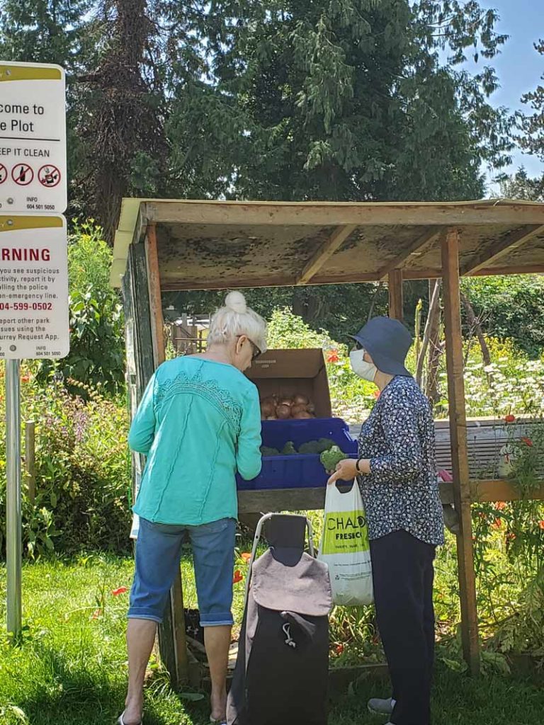 Veggie Stand – The PLOT